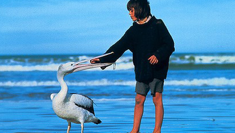 Storm Boy returns to the big screen for one night only | Cinema Australia