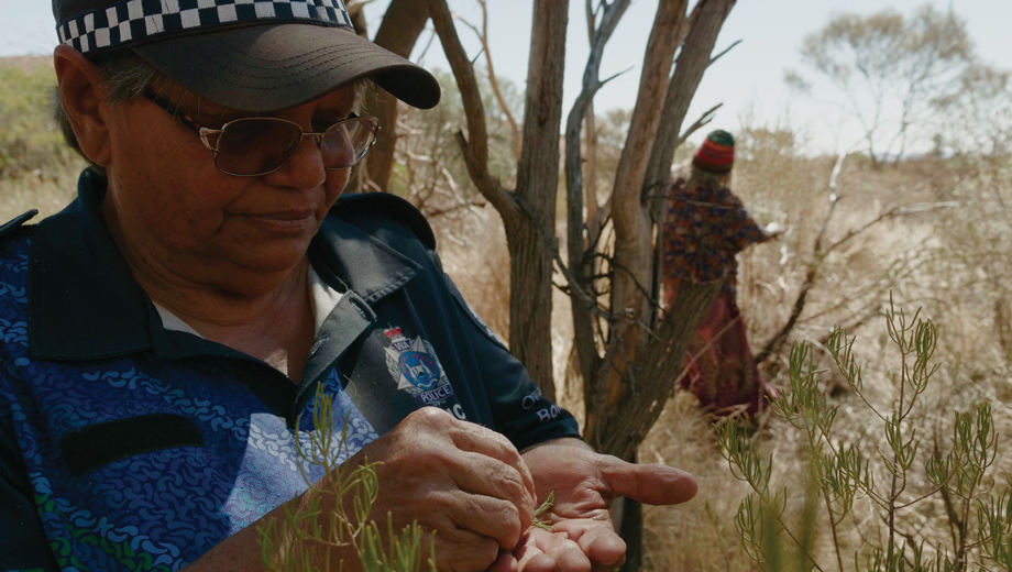 Netflix acquires groundbreaking WA indigenous doco, Our Law | Cinema ...
