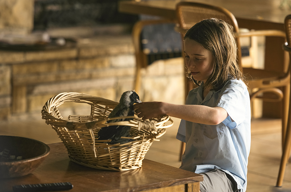 Review: Penguin Bloom | Cinema Australia