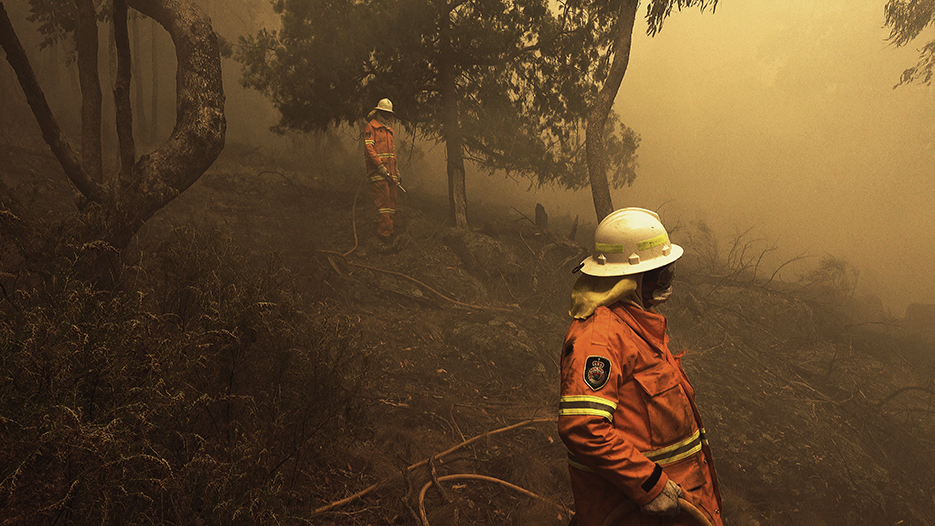 You can now watch Black Summer short Inferno on SBS On Demand | Cinema ...