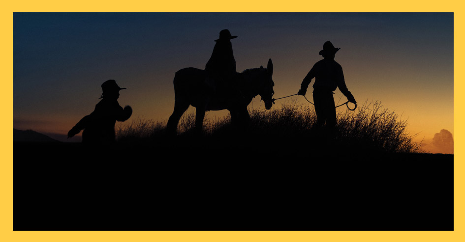 Warwick Thornton’s Wolfram selected for Berlin! Australian release date ...